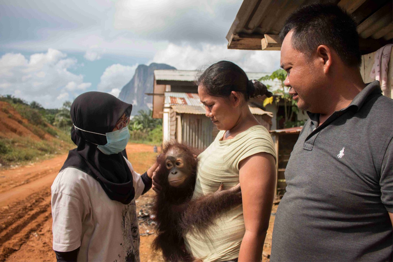 IAR endonesa dan BKSDA Selamatkan duak Orangutan - Yayasan IAR Indonesia