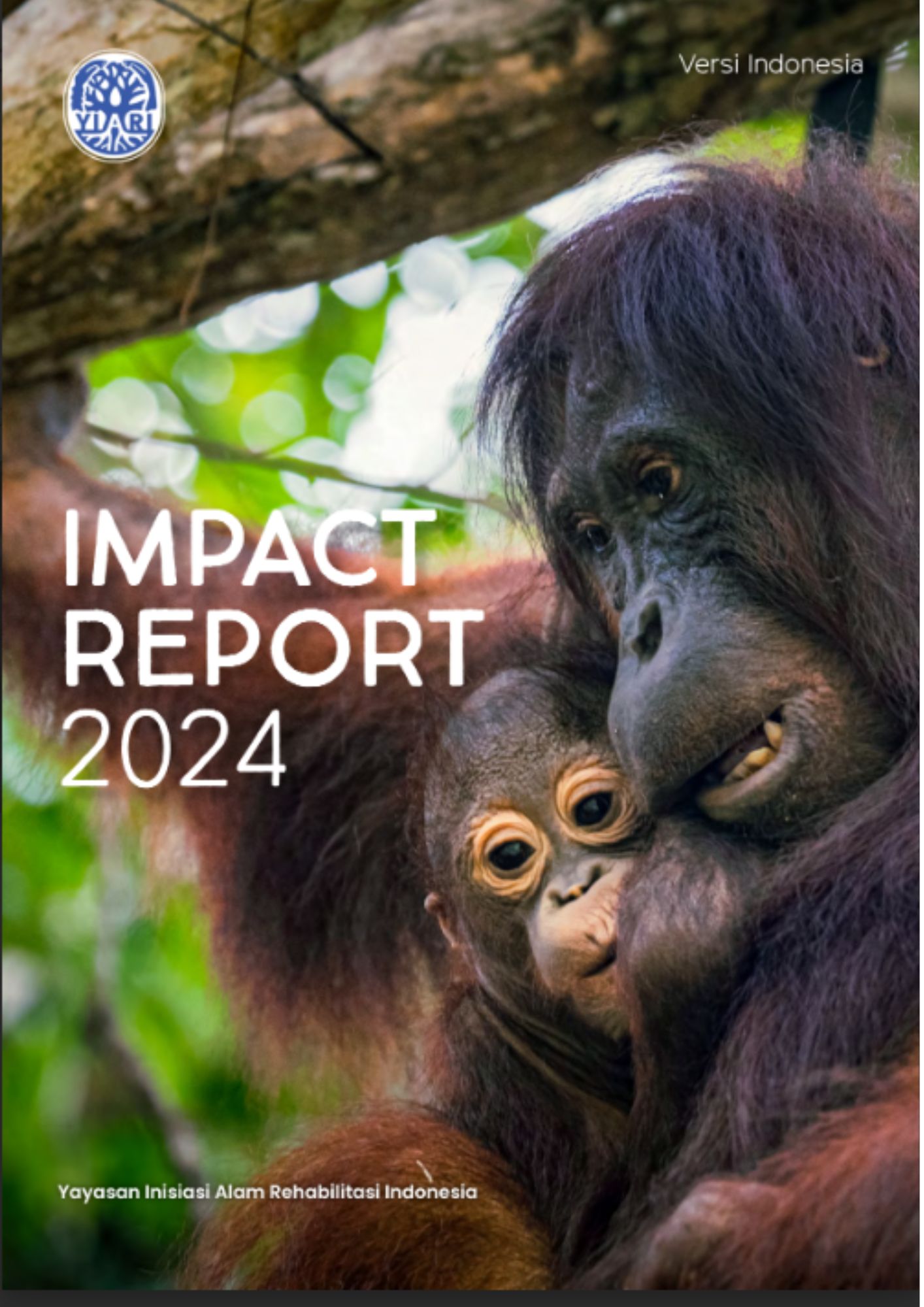 [ID] Impact Report 2024 - Yayasan IAR Indonesia