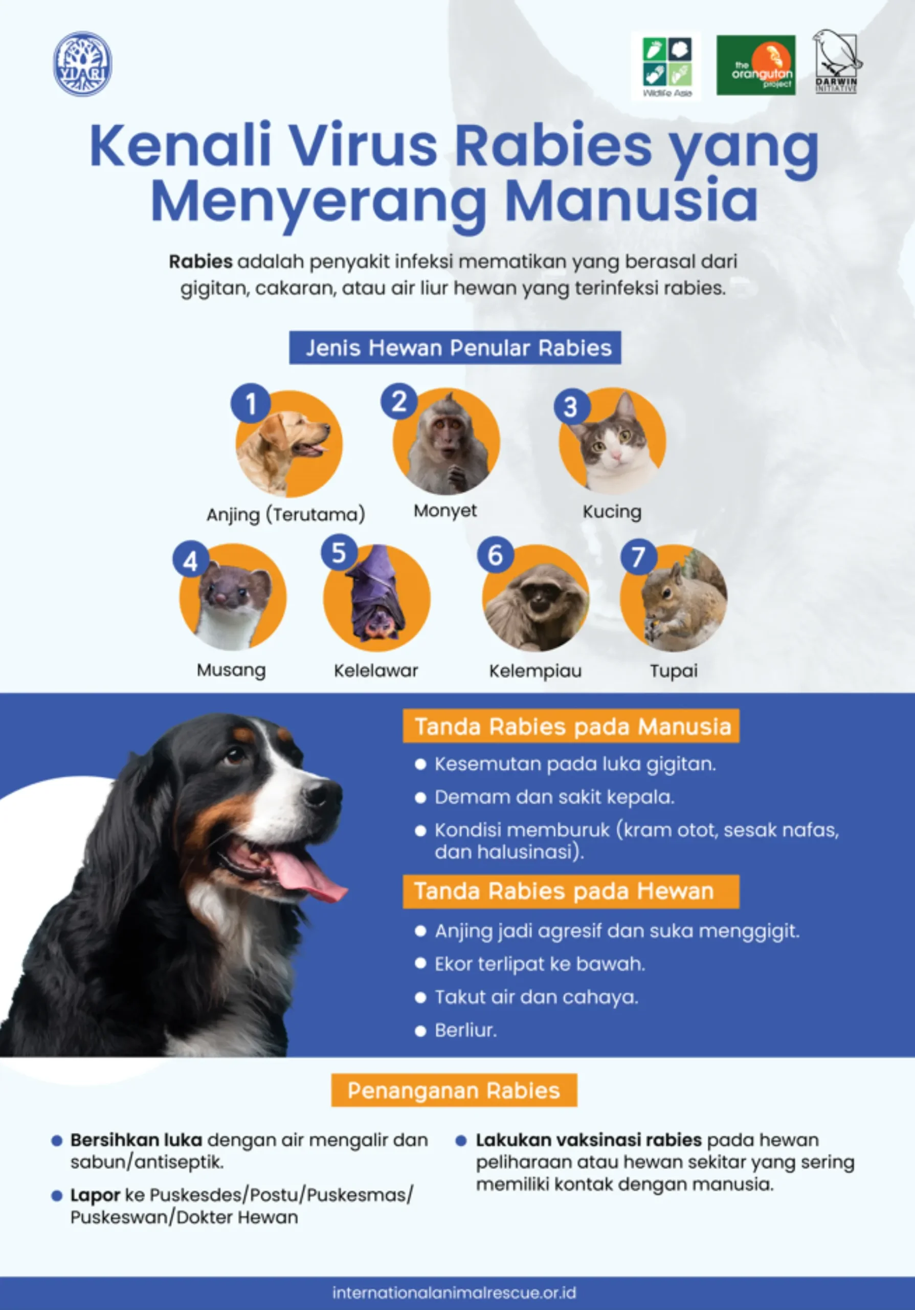 Kenali Virus Rabies - Yayasan IAR Indonesia