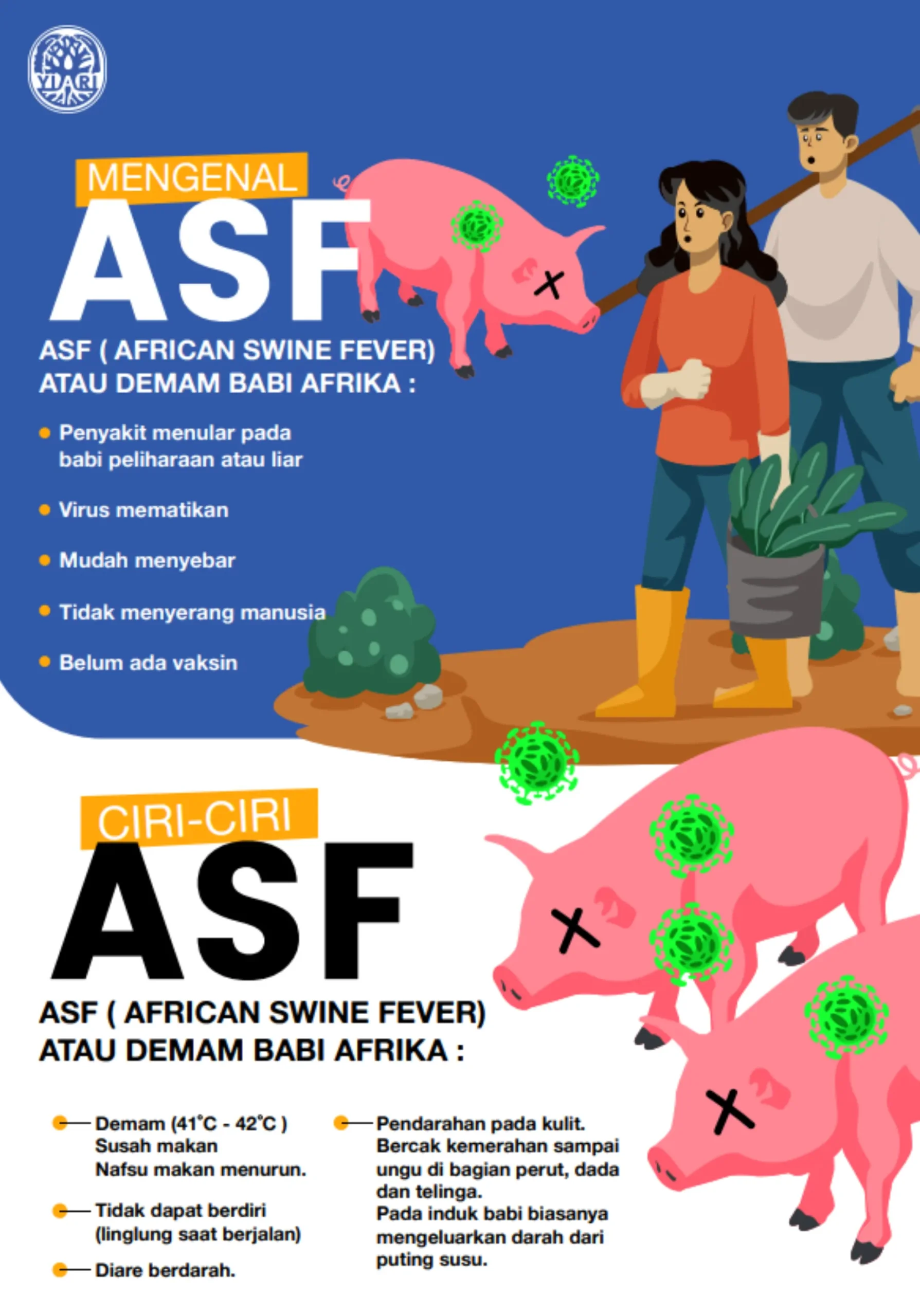 Infografis ASF (African Swine Fever) - Yayasan IAR Indonesia